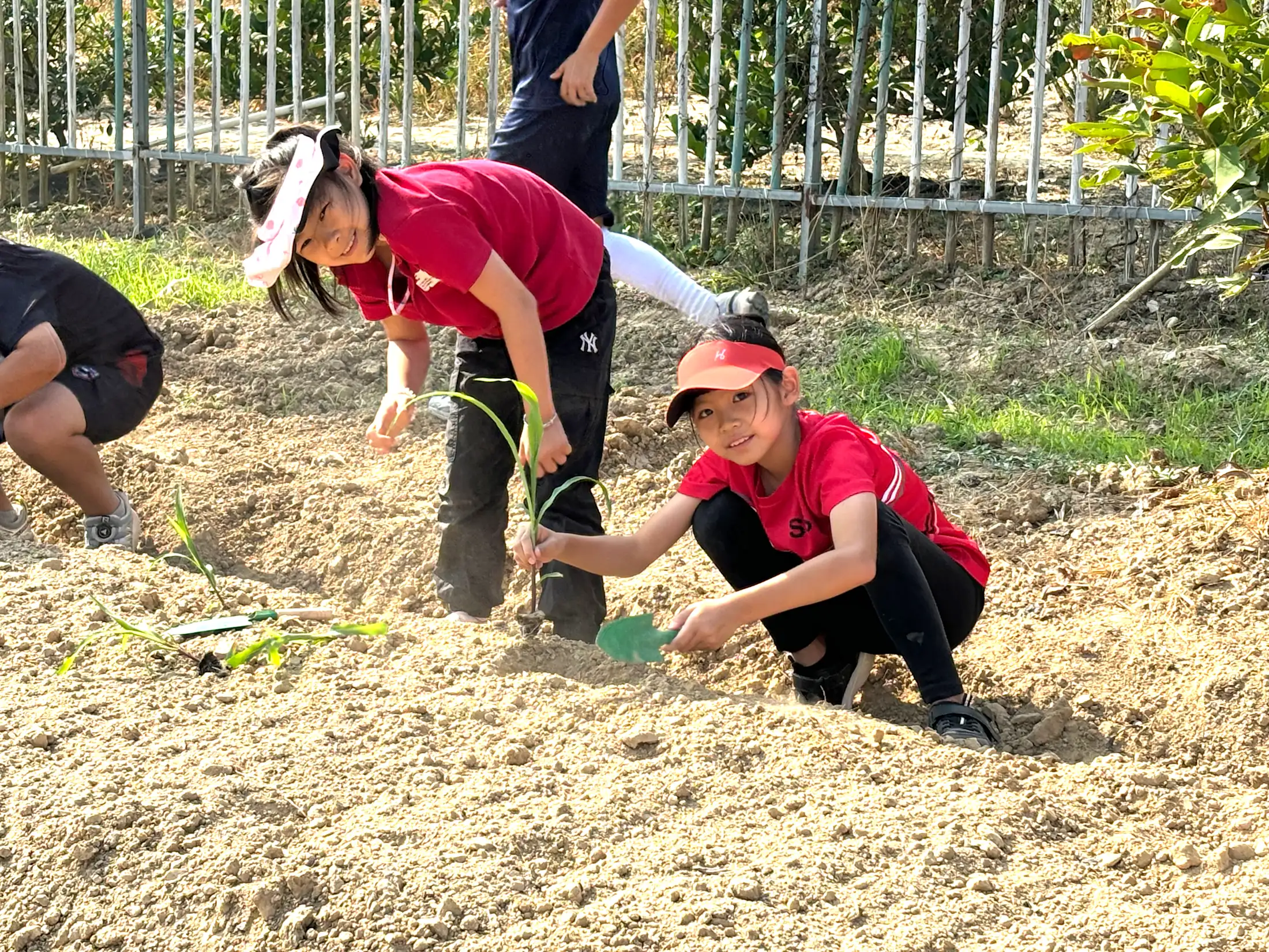 About Us - Shekou International School